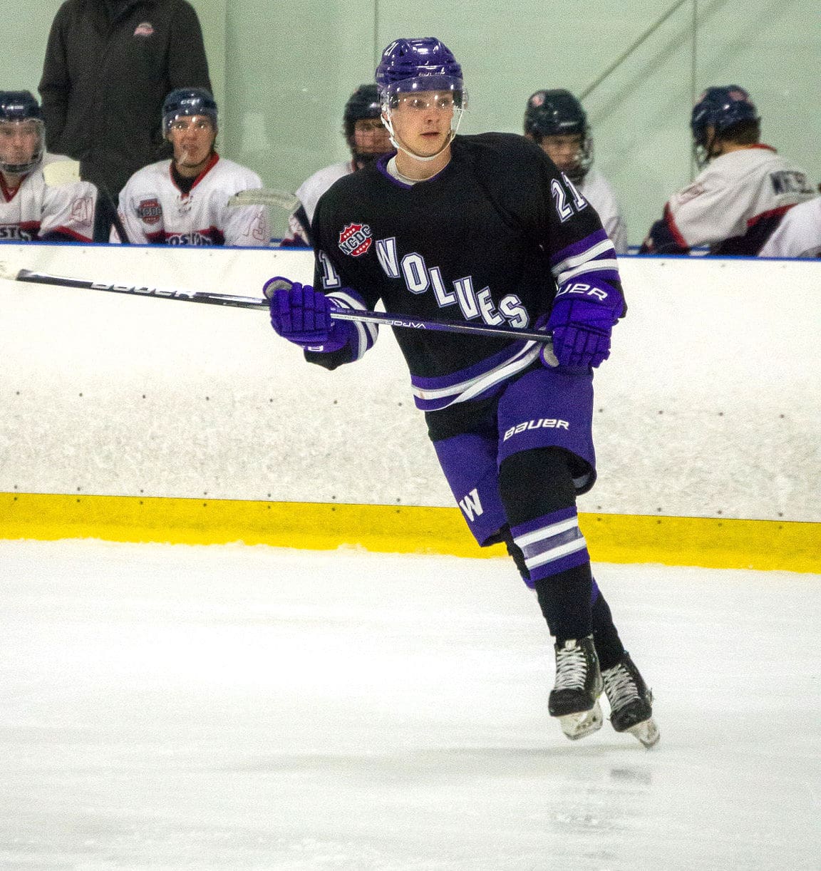 NCDC Commitment Profiles: Wolves' Swan Moving On To Stevenson ...