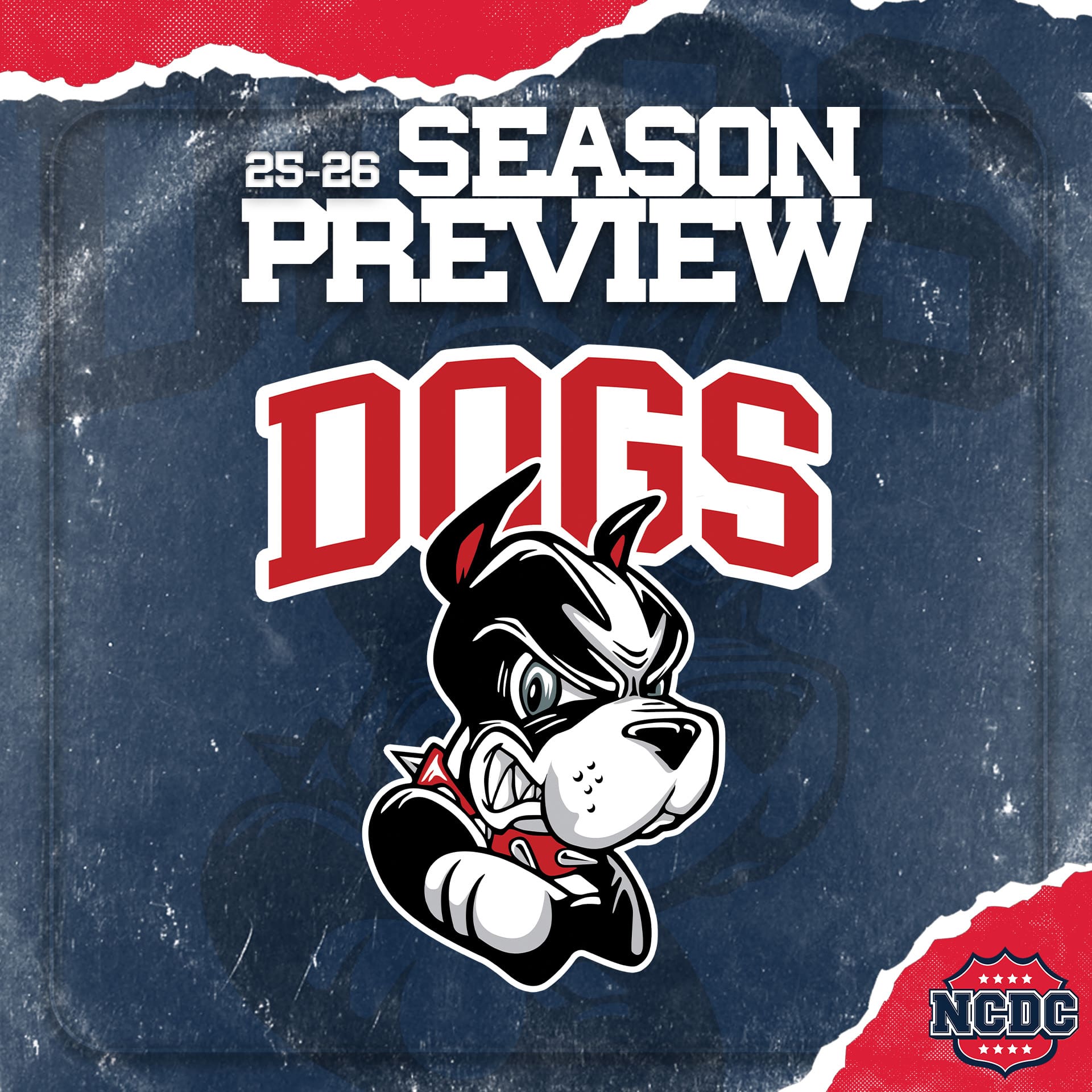 2025-26 Season Preview: Boston Dogs